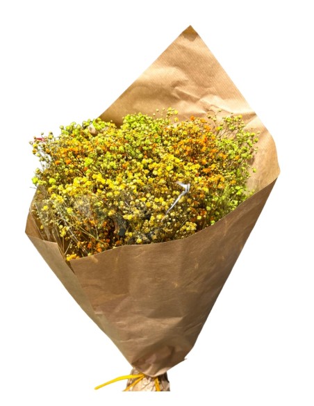 MAZO PANICULATA 25/30 cms. x 40/50 cms. (20) NARANJA