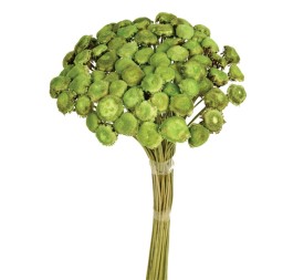 Flor Preservada Pali Pala | Mundo Flor