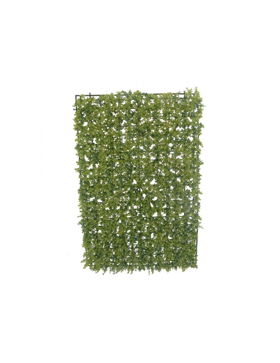 RECTANGULO DE BOJ (40X60CMS)